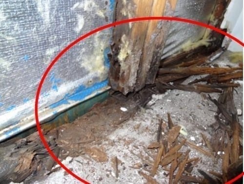 Building design faults Categories - Qld Home Buyers Inspection Service
